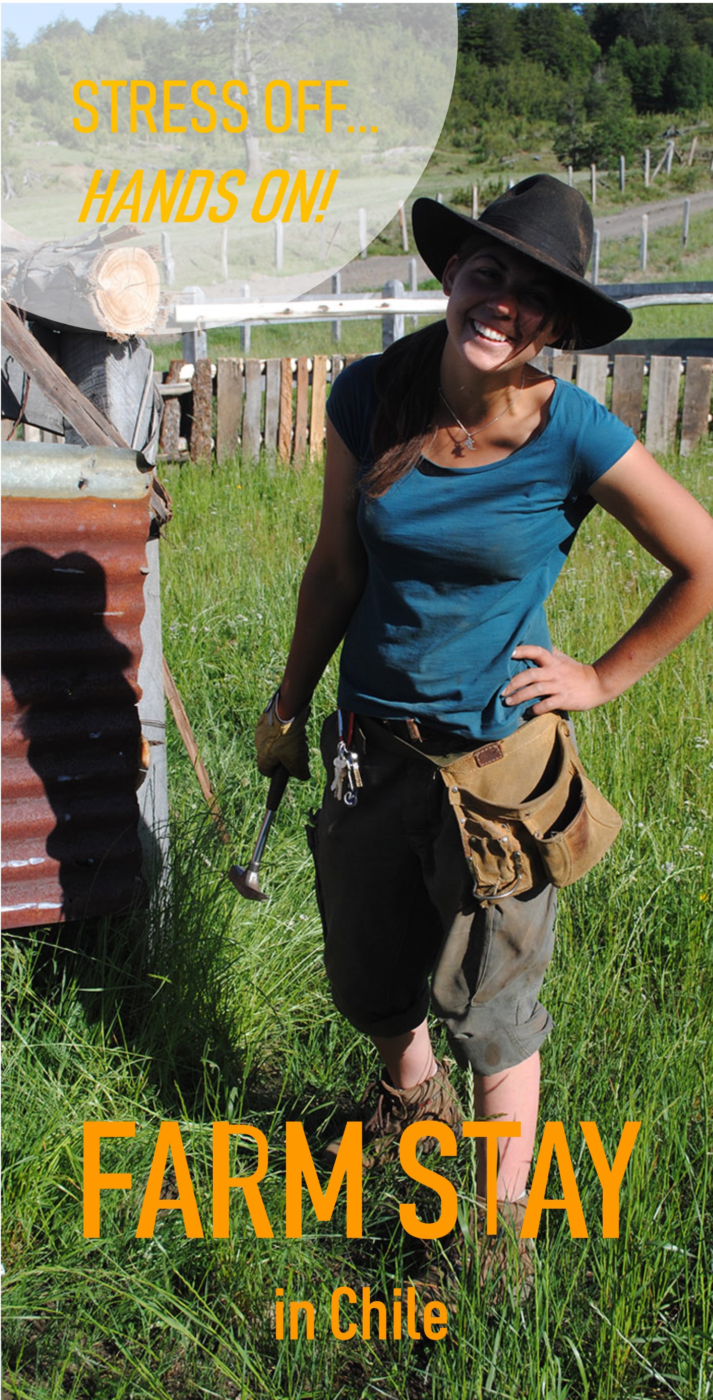 What does Farm Stay mean? Program Information - Chile Inside