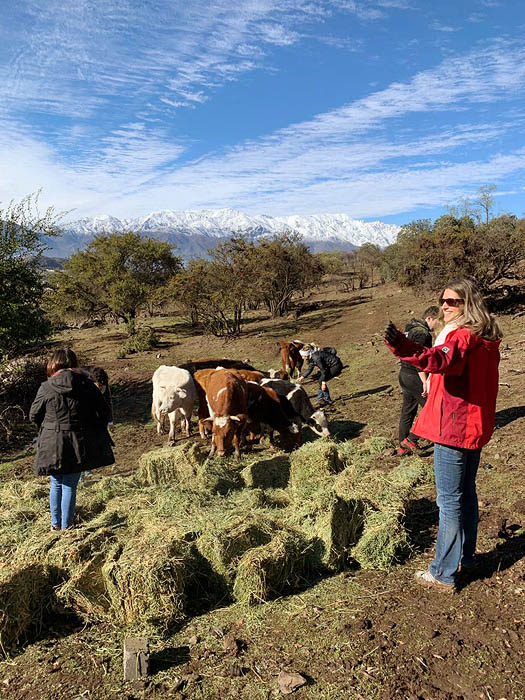Farm Stay - Working on a Farm Abroad - Chile Inside