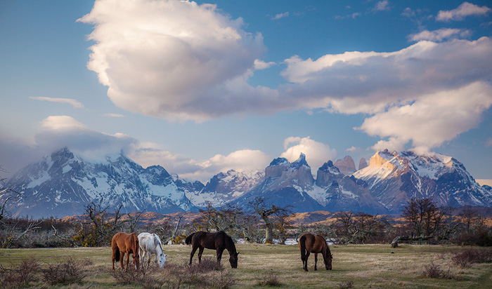Farm Stay - Working on a Farm Abroad - Chile Inside