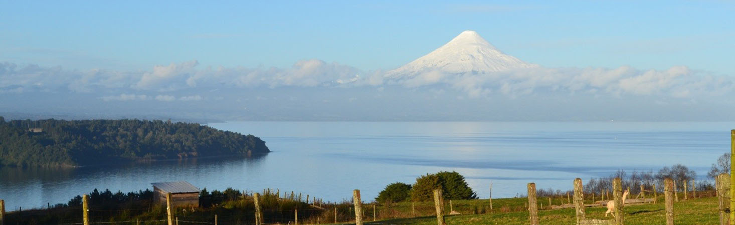 Victorias adventures on a Farm in southern Chile - Chile Inside